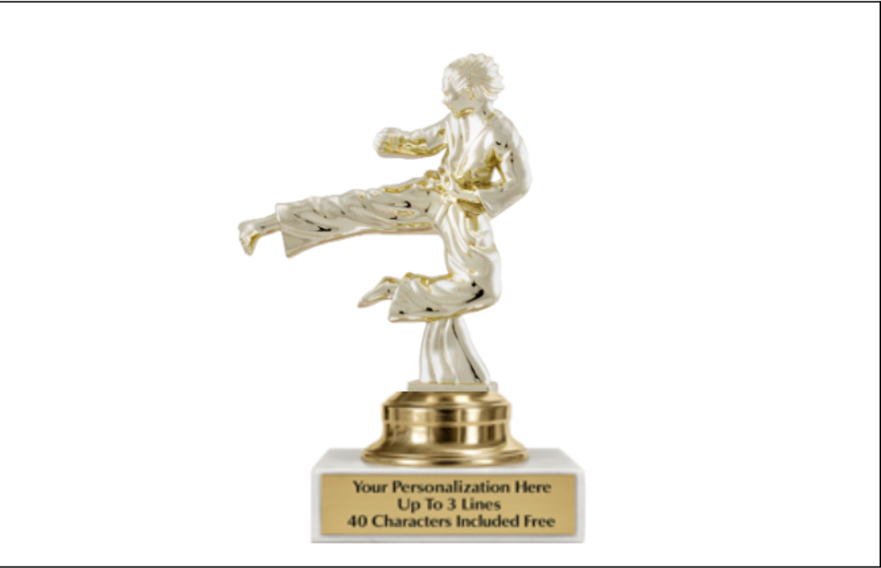 Martial Arts Tournament Trophy Guide | Karate, MMA & More